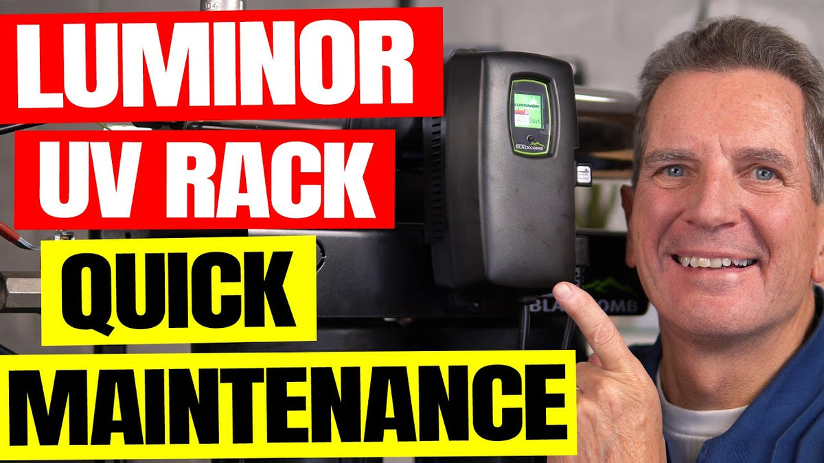 A Step-by-Step Guide to Maintaining Your Luminor Rack UV Disinfection ...